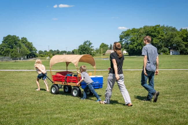 8 Wagon Cart Uses - Lapp Wagons
