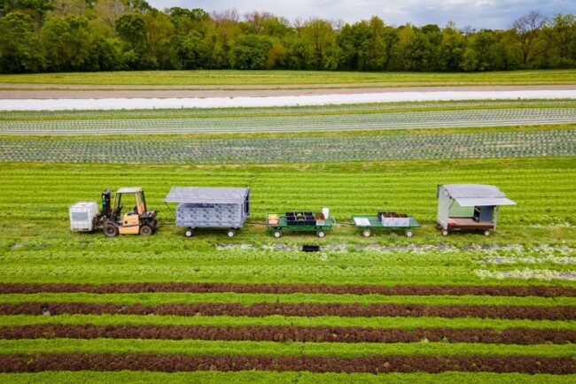 Produce Wagon | What They Are & How To Use Them