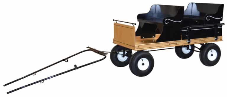 Miniature Pony Carts - Everything You Need To Know