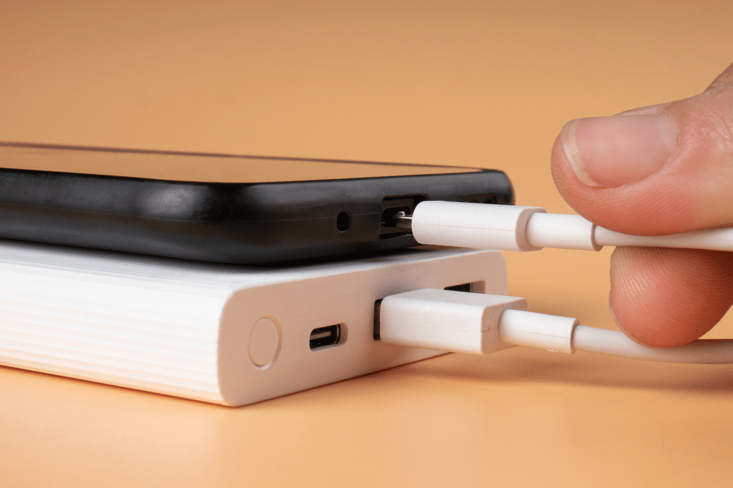 The Best Fishing Wagon and Add Ons