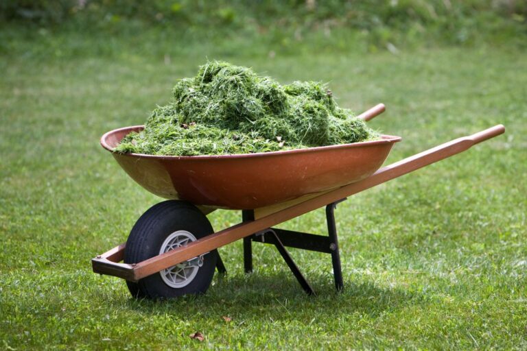 The 3 Different Types of Wheels and Their Uses| Lapp Wagons